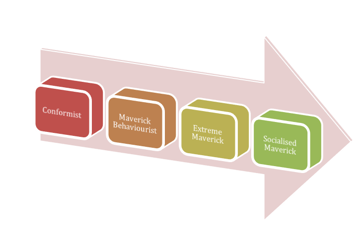 Maverick leadership styles – The Maverick Paradox